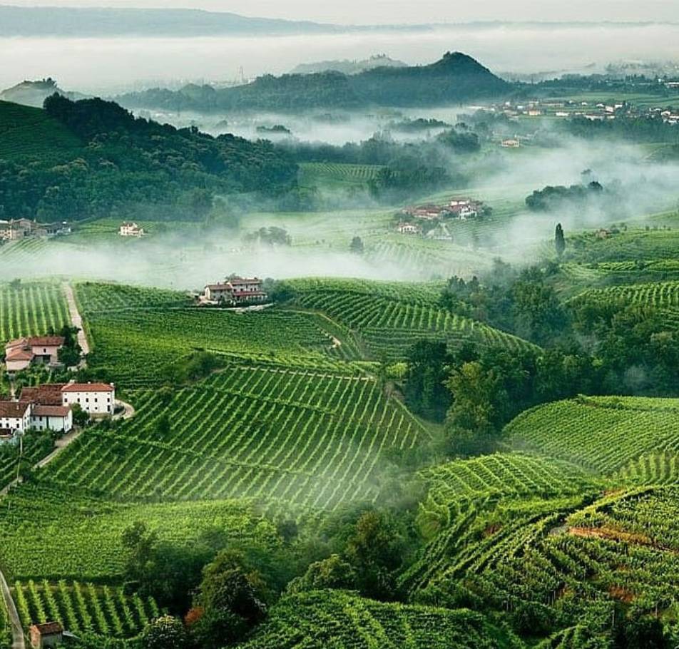 The Veneto Wine Country - Guidebook Venice - Guidebook Venice